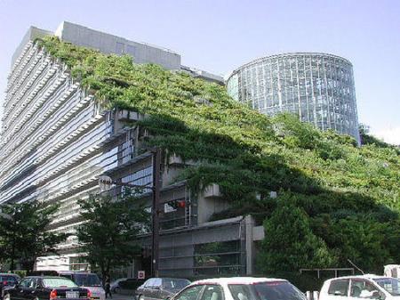 Green Building Ebbs Slightly in Recession, But Sentiment Remains Strong ...